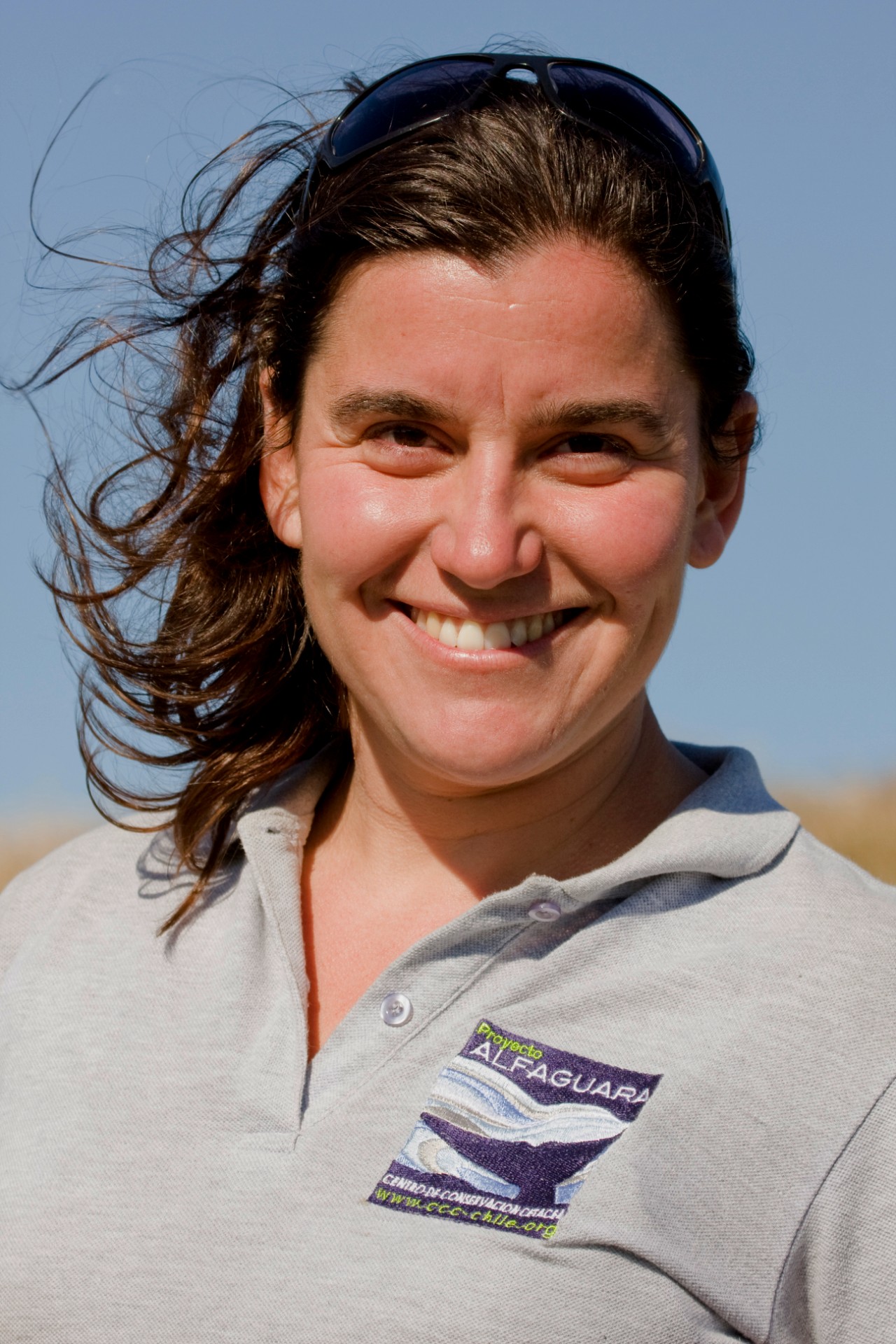 La lucha por descontaminar a las ballenas azules | CONICYT